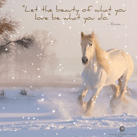 Horse-snow GIFs - Get the best GIF on GIPHY