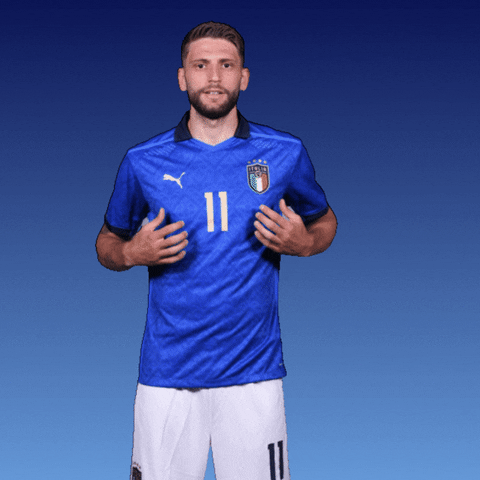 Euro 2020 Football GIF by UEFA - Find & Share on GIPHY