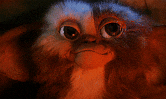 Gremlins GIFs - Find & Share on GIPHY