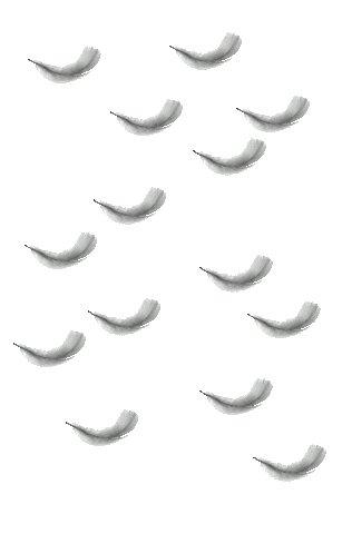 Animated Feather Gif