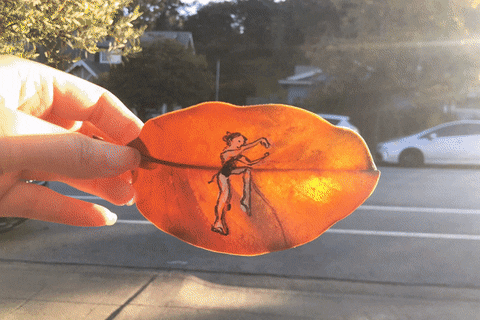 Leaf Stop Motion GIFs on GIPHY - Be Animated