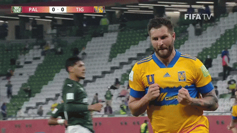 Andre Pierre Gignac GIFs - Get the best GIF on GIPHY
