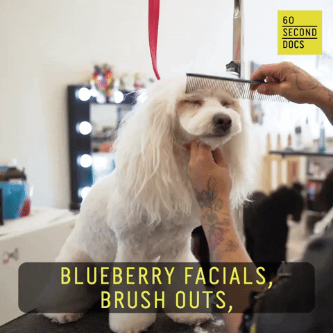 Facial-brush GIFs - Get the best GIF on GIPHY