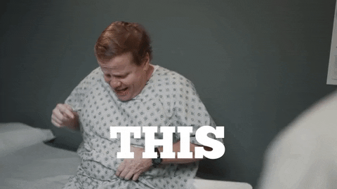 Fat-bee GIFs - Get the best GIF on GIPHY