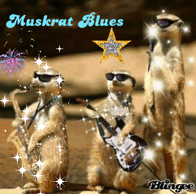 Muskrat GIFs - Get the best GIF on GIPHY