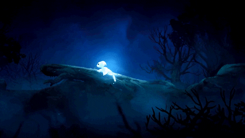 Forest Gif