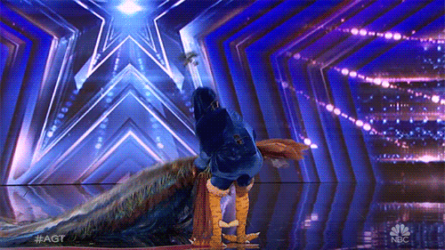 Season 16 GIF by America's Got Talent - Find & Share on GIPHY