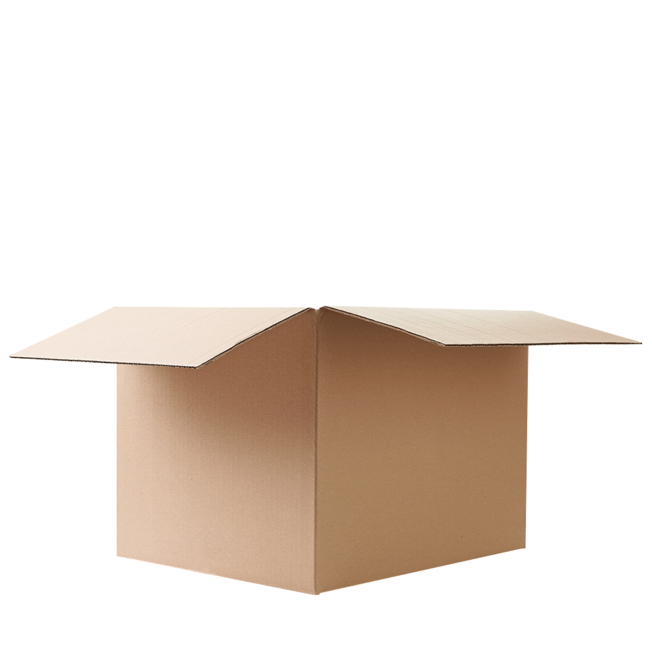 Signus GIFs on GIPHY - Be Animated