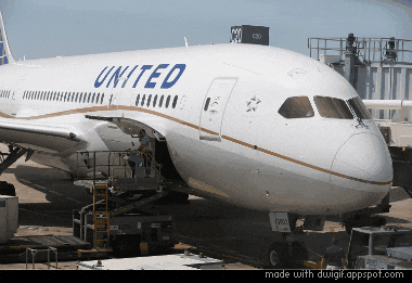 Airline-inthyrath GIFs - Get the best GIF on GIPHY