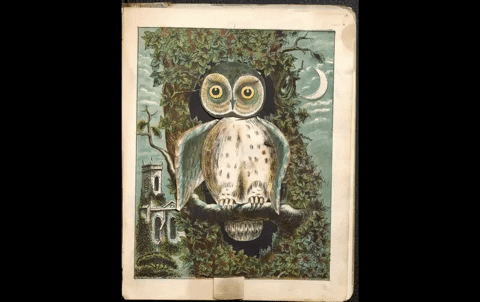 Moveable Books GIFs - Get the best GIF on GIPHY