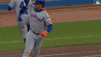 New York Mets GIFs on GIPHY - Be Animated