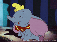 Gif Brónach Dumbo Brooklyn GIFs | Tenor
