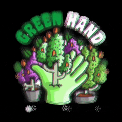 Green-hand GIFs - Get the best GIF on GIPHY
