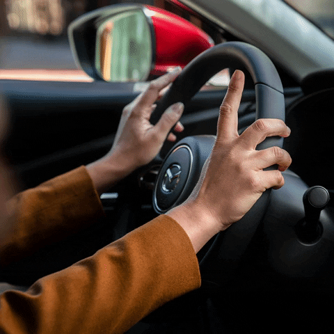 Steeringwheel GIFs - Get the best GIF on GIPHY