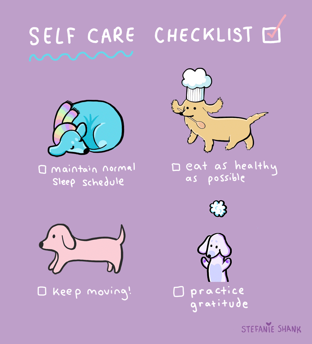 Dog Stay Indoors GIF by Stefanie Shank - Find & Share on GIPHY