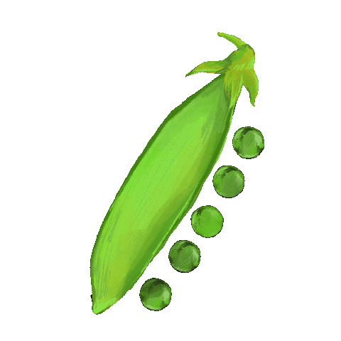 Snow Peas Garden Sticker for iOS & Android | GIPHY