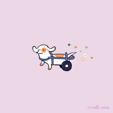 Sausage Dog GIF by Stefanie Shank - Find & Share on GIPHY