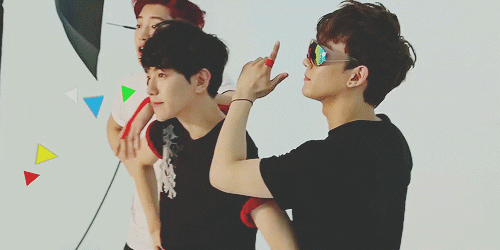 Beagle-line GIFs - Get the best GIF on GIPHY