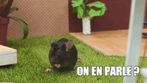 On-en-parle GIFs - Get the best GIF on GIPHY