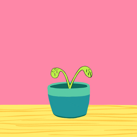 Growing Plant Gif