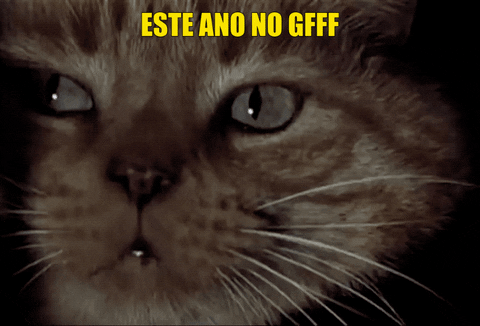 Cat Vigo GIF by GFFF - Galician Freaky Film Festival - Find & Share on ...