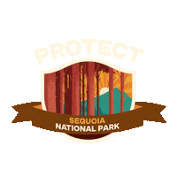 Sequoia National Park Sticker Pack! by INTO ACTION | GIPHY