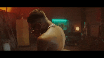 Hawk GIFs on GIPHY - Be Animated