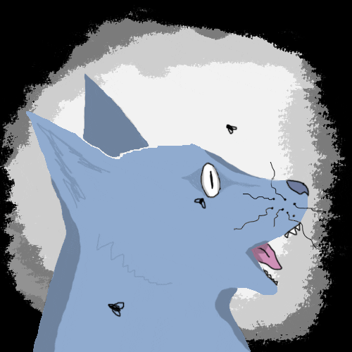 Dead Cat GIFs - Get the best GIF on GIPHY