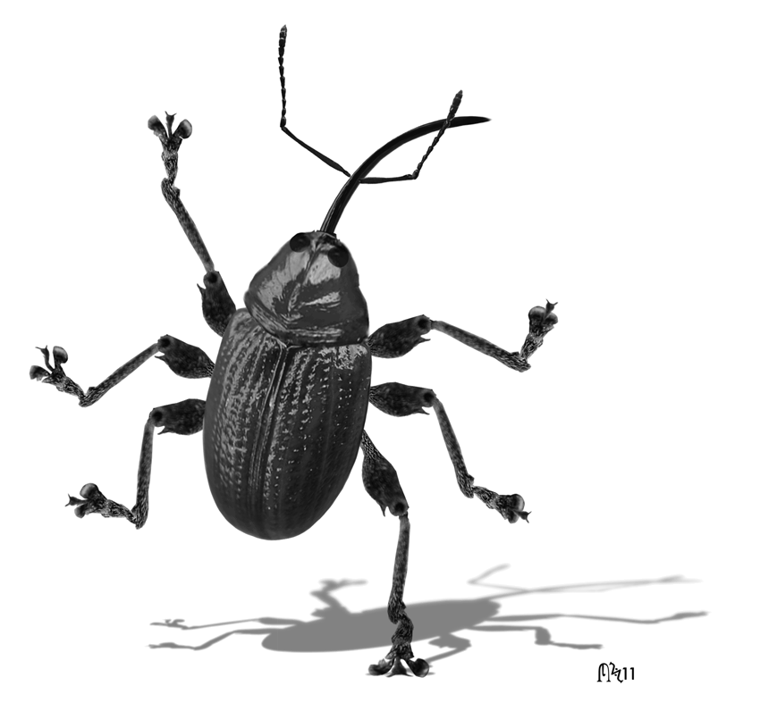 Digital Art Cockroach By Colin Raff Find And Share On Giphy