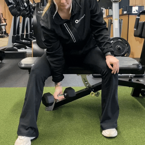 Back To Basics Exercises GIFs on GIPHY - Be Animated