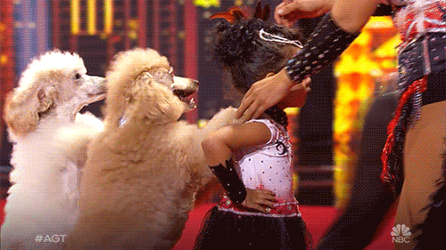 Agt GIF by America's Got Talent - Find & Share on GIPHY