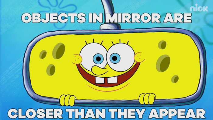 Drive Mirror GIF by SpongeBob SquarePants - Find & Share on GIPHY