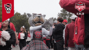 College Sports Wolfpack GIF by College Colors Day - Find & Share on GIPHY