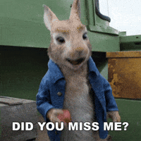 I Miss You Gif Funny