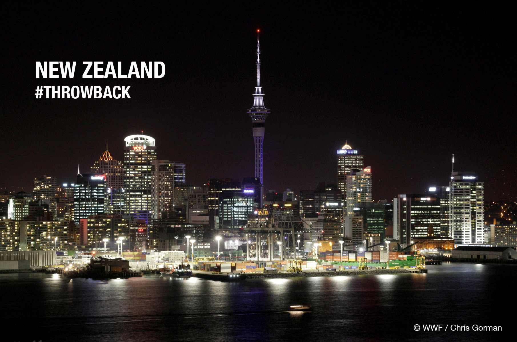 Switch Off Lights Out GIF by Earth Hour - Find & Share on GIPHY