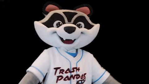 Baseball Raccoon GIF by Rocket City Trash Pandas - Find & Share on GIPHY