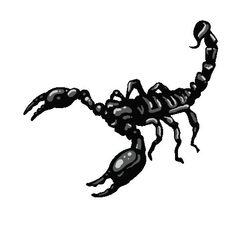 Scorpion Stickers - Find & Share on GIPHY