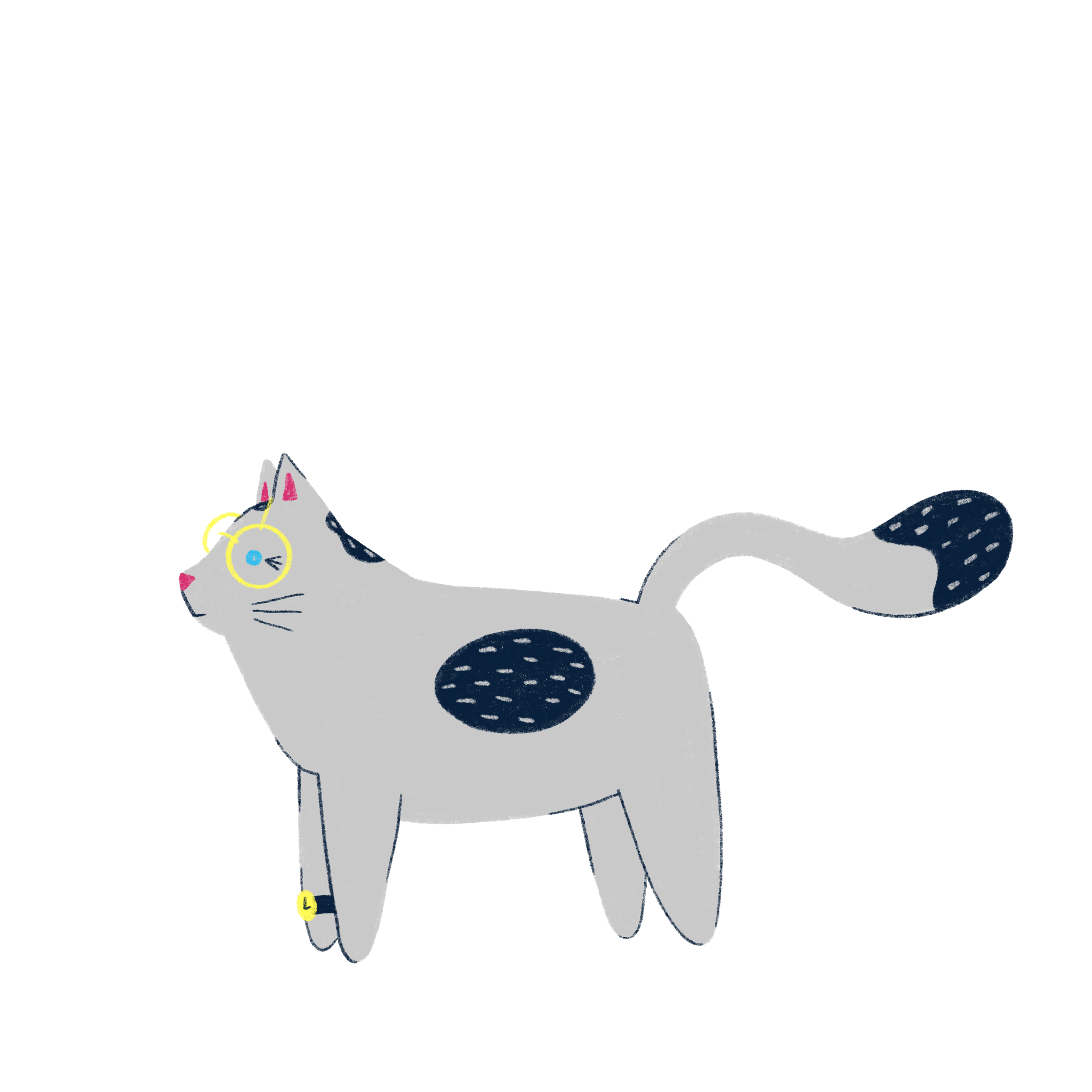 Hyper Cat Animated Gif