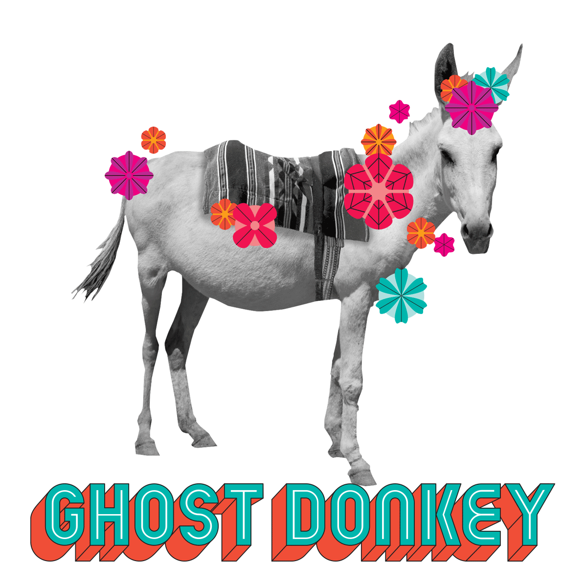 Tequila Mezcal Sticker by Ghost Donkey for iOS & Android | GIPHY