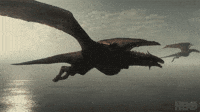 Animated Flying Dragon Gif