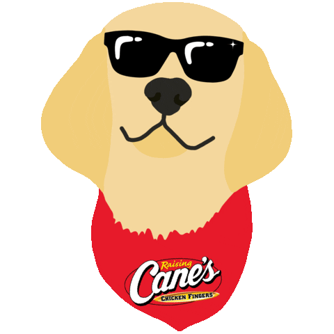 Dog Sunglasses Sticker by Raising Cane's for iOS & Android | GIPHY