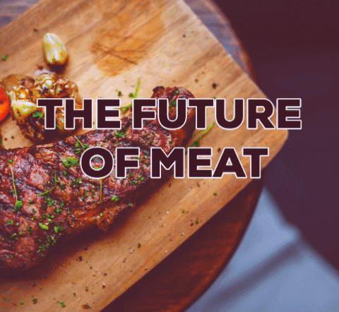 Meat Grilling GIF by Massive Science - Find & Share on GIPHY
