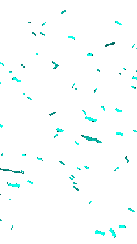 Konfetti Explosion GIF