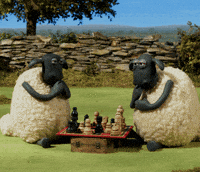 Sheep Chewing Gif