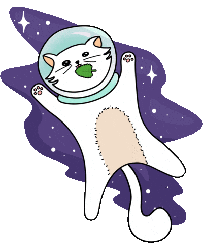 Space Cat Gif
