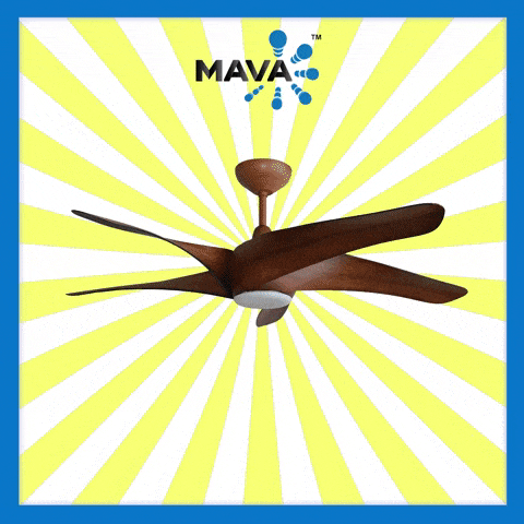 Mava Fan GIF - Find & Share on GIPHY