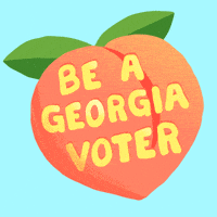 6 GIFs for Georgia Primary Election by #GoVote | GIPHY