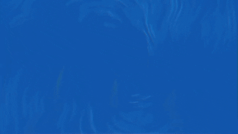 We Are 12 GIFs - Get the best GIF on GIPHY