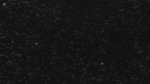 Star-wars-fireworks GIFs - Get the best GIF on GIPHY