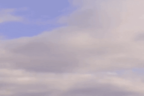 Btc-seattle GIFs - Get the best GIF on GIPHY